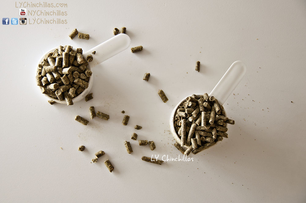 The ‘LY Chinchillas’ Diet | LY Chinchillas