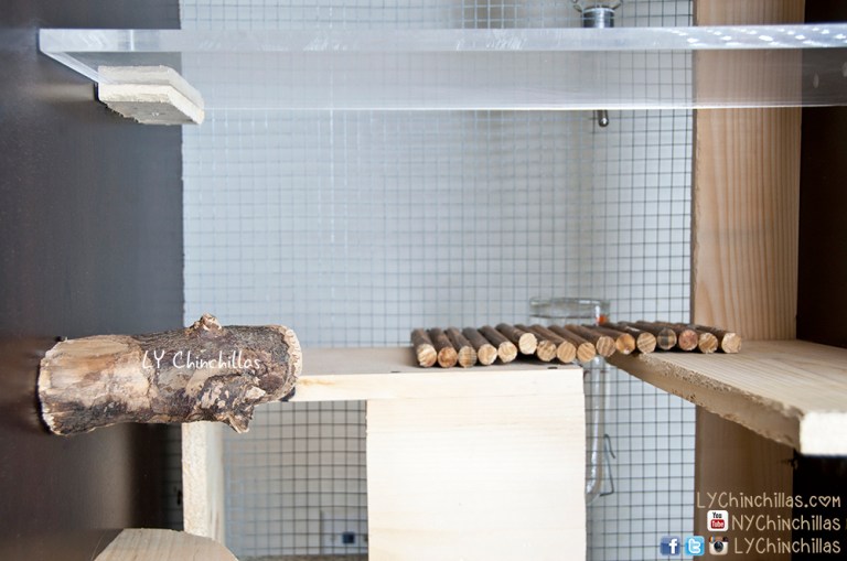 How To: Build a Custom Chinchilla Cage | LY Chinchillas